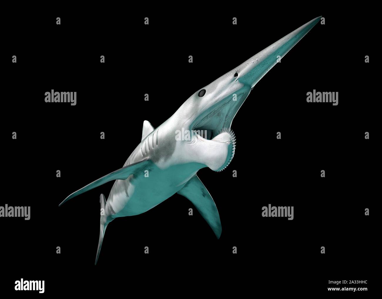 Helicoprion prehistoric fish, illustration Stock Photo - Alamy