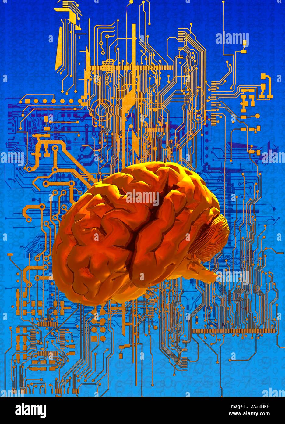 Brain and circuit board, illustration Stock Photo - Alamy
