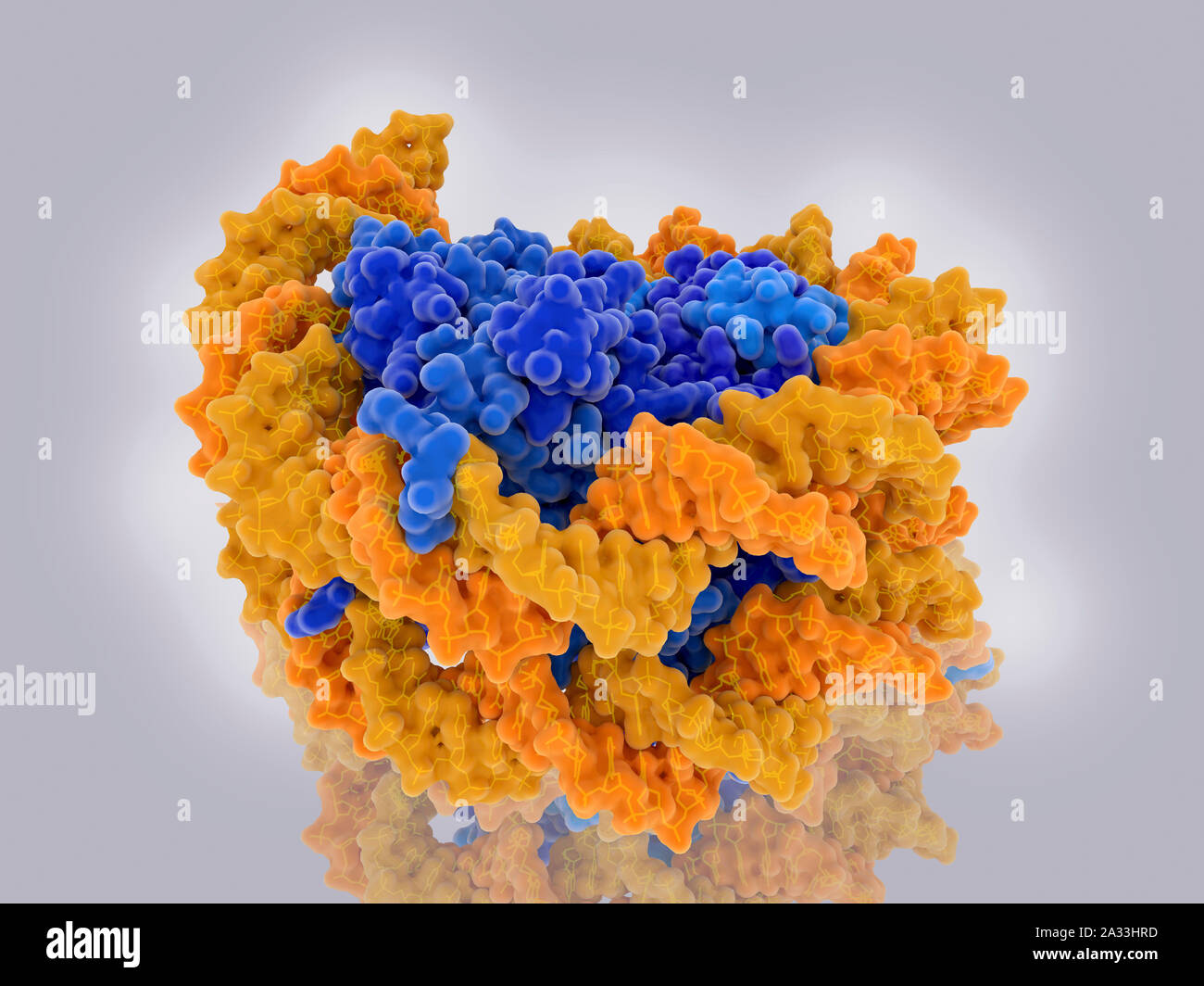 Nucleosome hi-res stock photography and images - Alamy