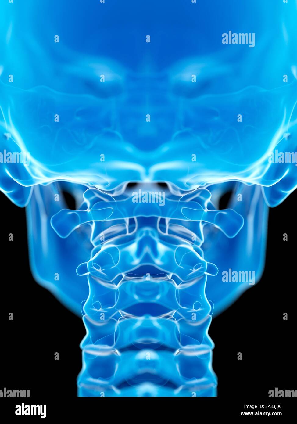 Atlas bone, illustration Stock Photo - Alamy