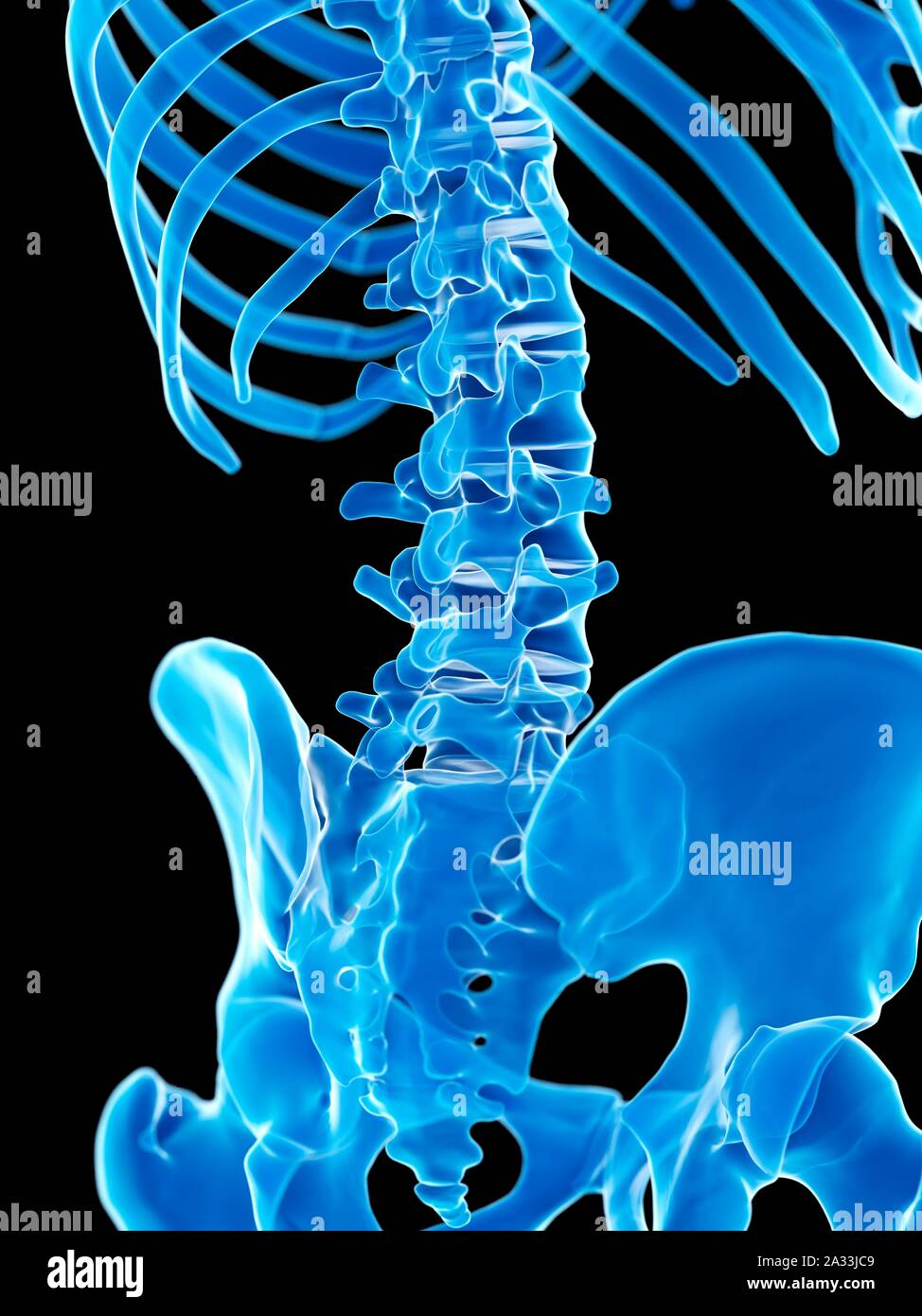 Lumbar spine, illustration Stock Photo - Alamy