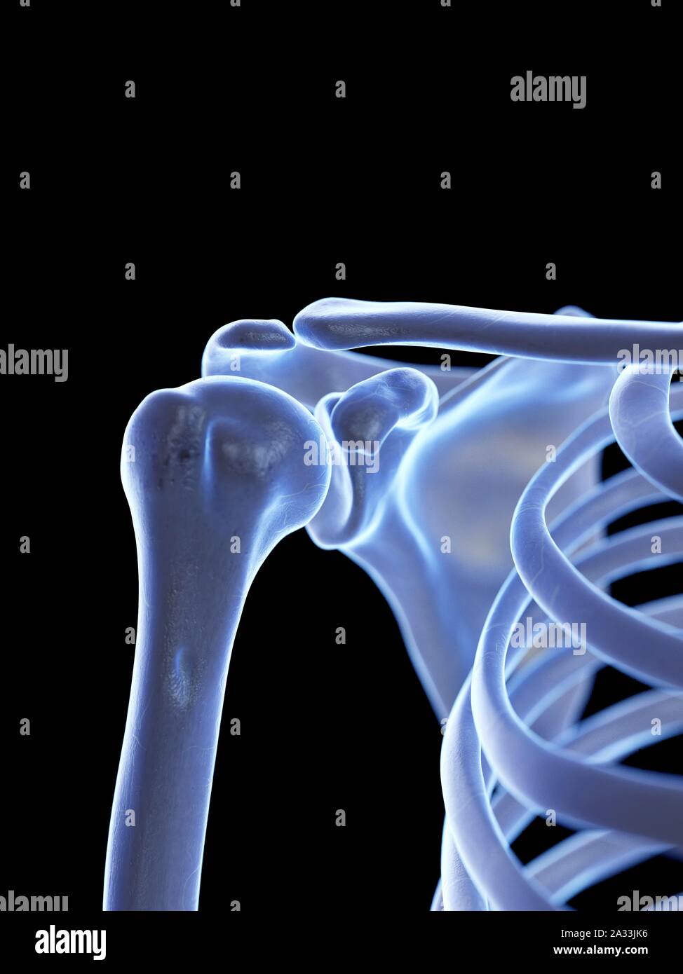 Shoulder joint, illustration Stock Photo - Alamy