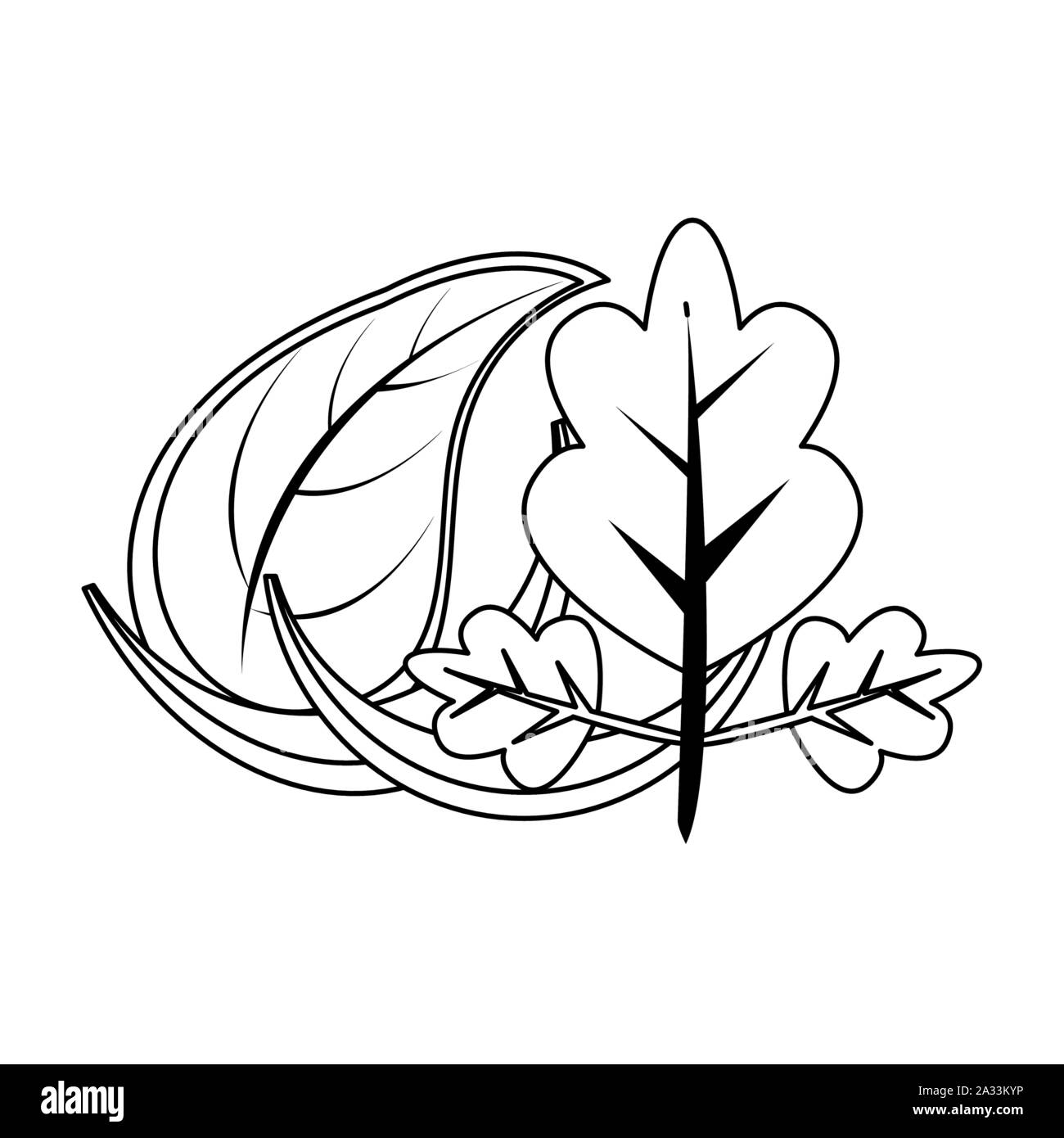 Red onion leaves Stock Vector Images - Alamy