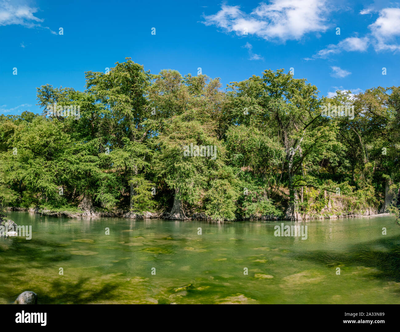 Guadalupe river state park in Texas Stock Photo - Alamy