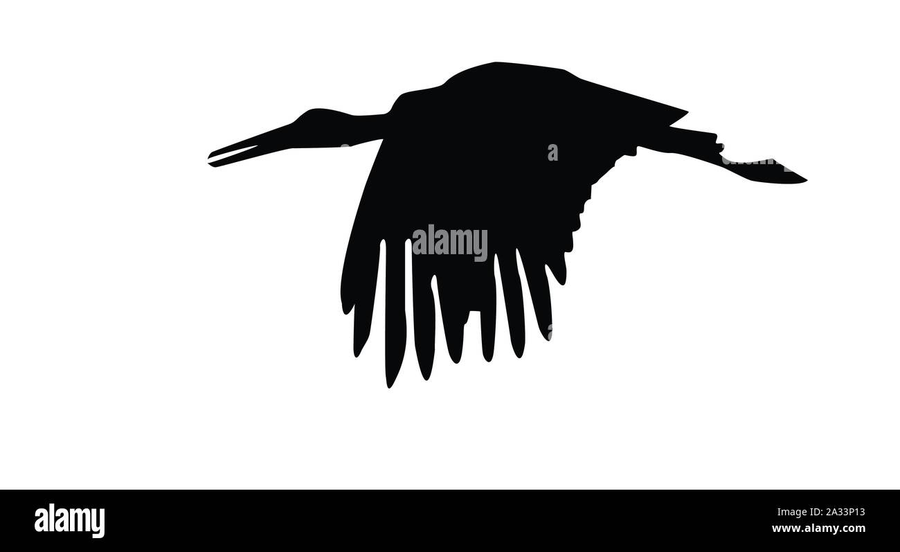 Stork black silhouette flying on a white background, vector Stock ...