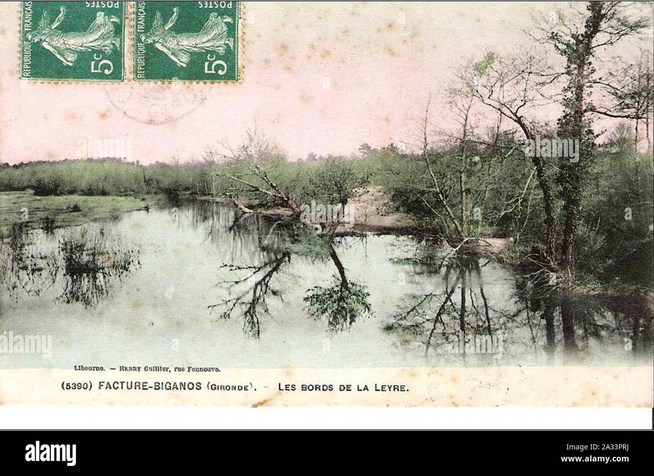 Facture - les bords de la Leyre Stock Photo - Alamy
