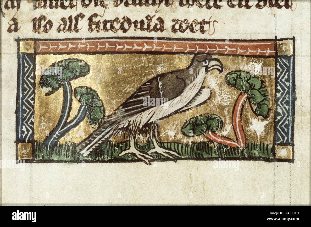 Falco (falcon) - Der naturen bloeme - Jacob van Maerlant - KB KA 16 ...