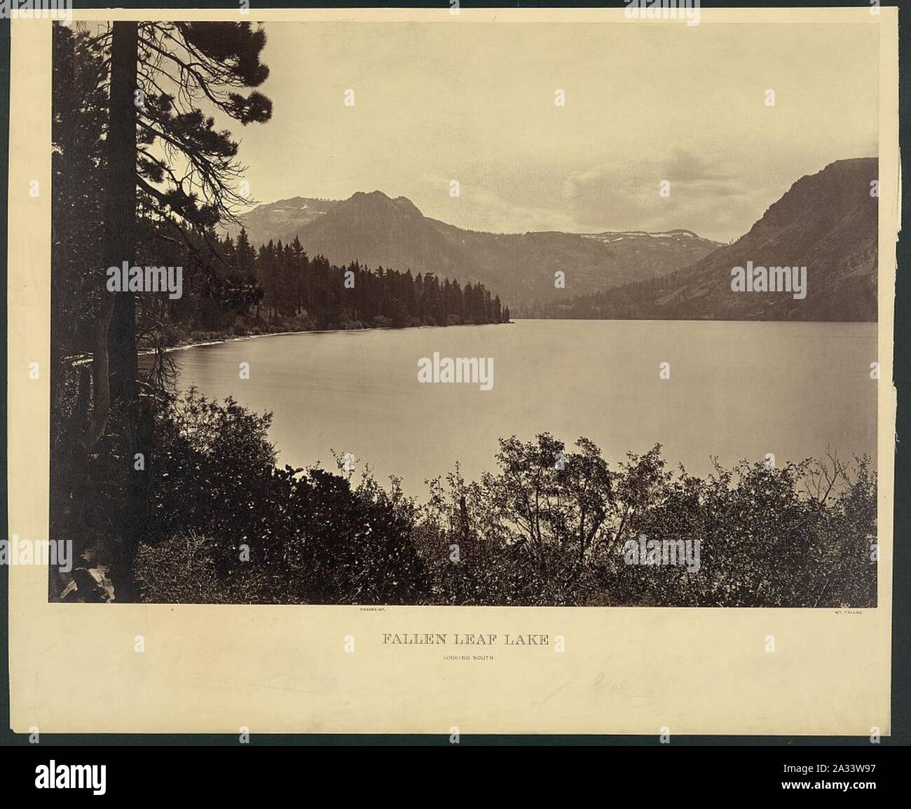 Fallen Leaf Lake, looking south Stock Photo - Alamy