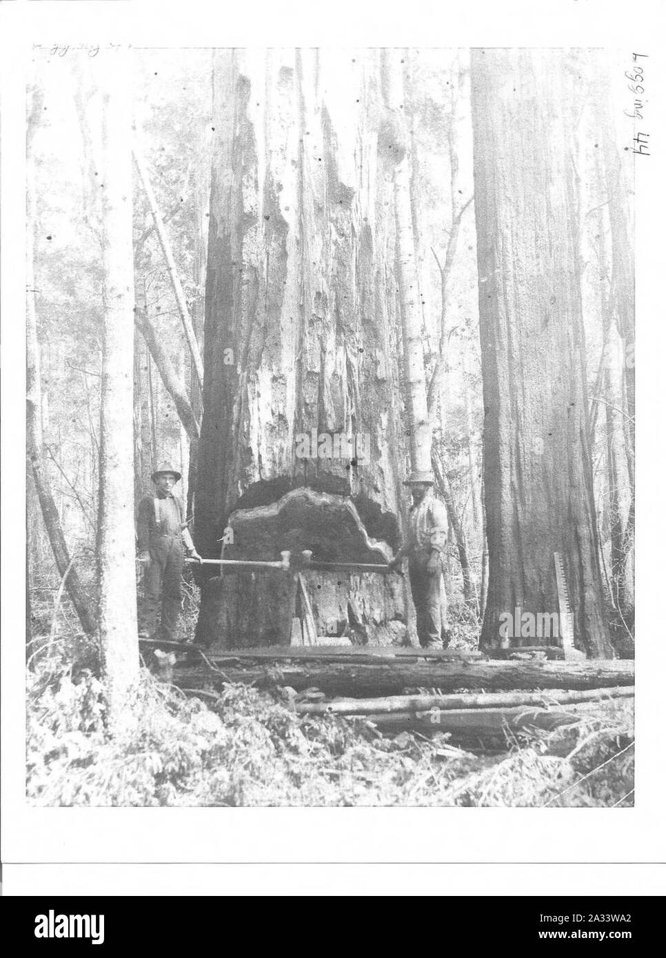 Falling on the Gualala River (Sonoma County) California, Steve Tisconi ...