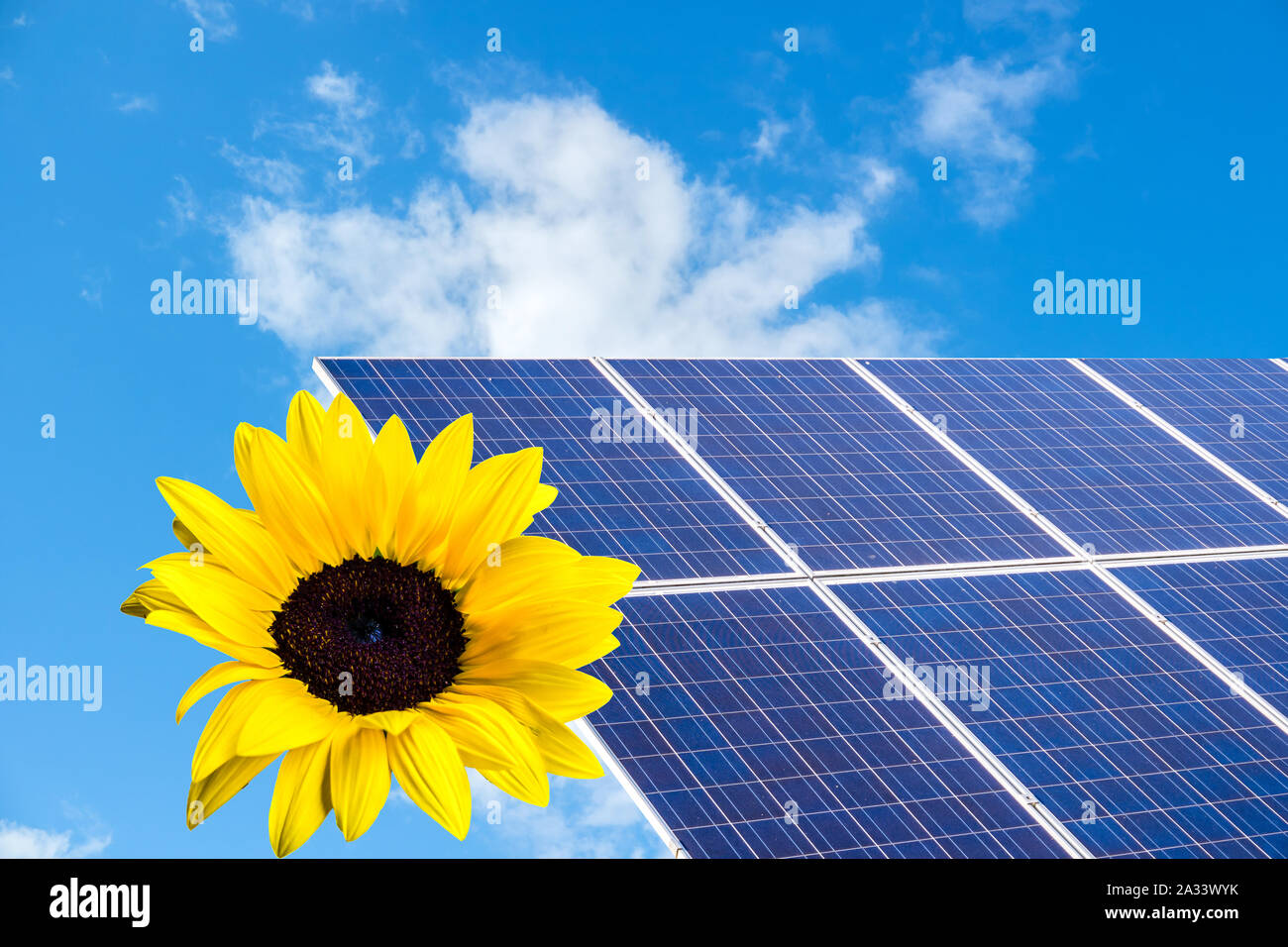 solar cell with sunflower Stock Photo - Alamy