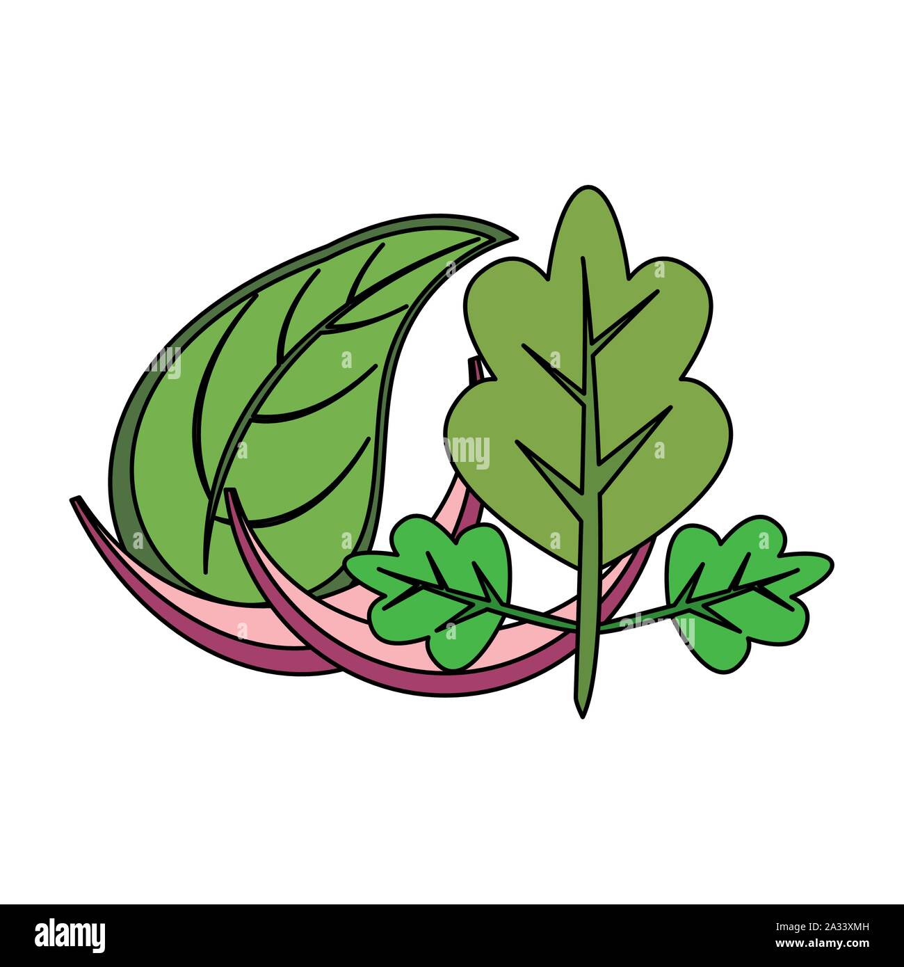 Red onion leaves Stock Vector Images - Alamy