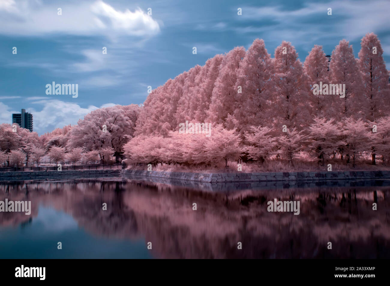 Osaka garden hi-res stock photography and images - Alamy