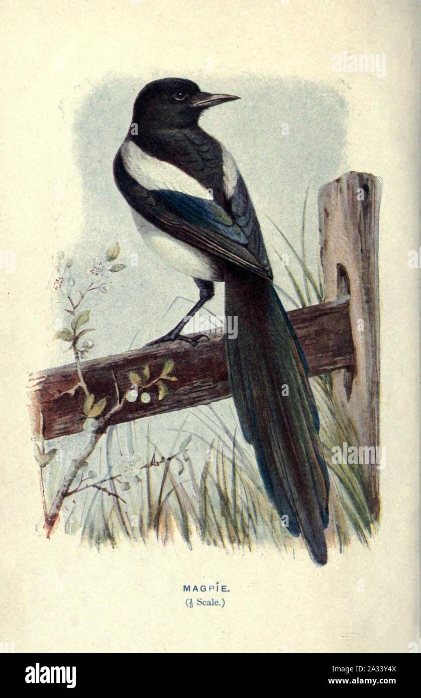 Familiar reference hi-res stock photography and images - Alamy