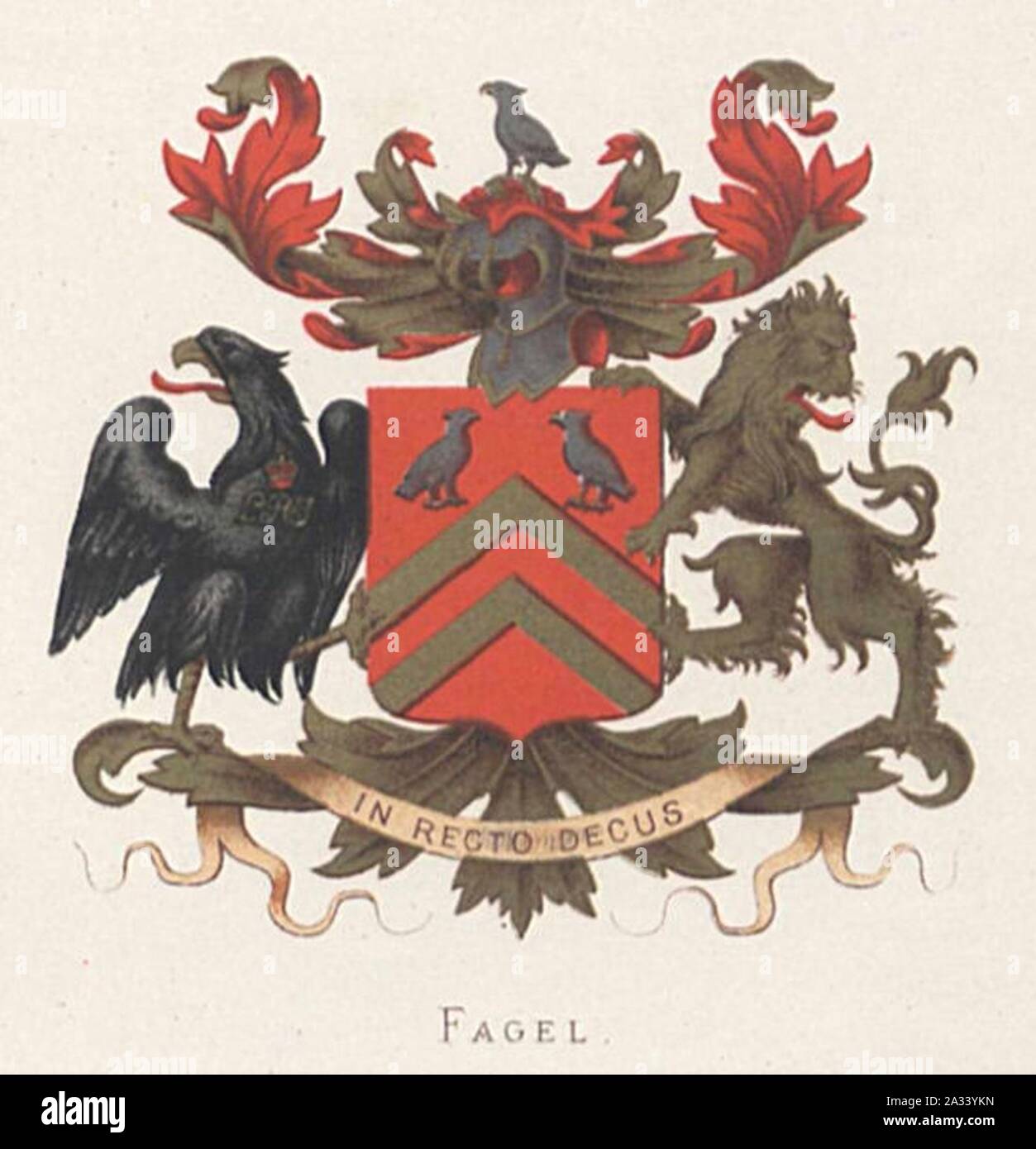 Fagel hi-res stock photography and images - Alamy