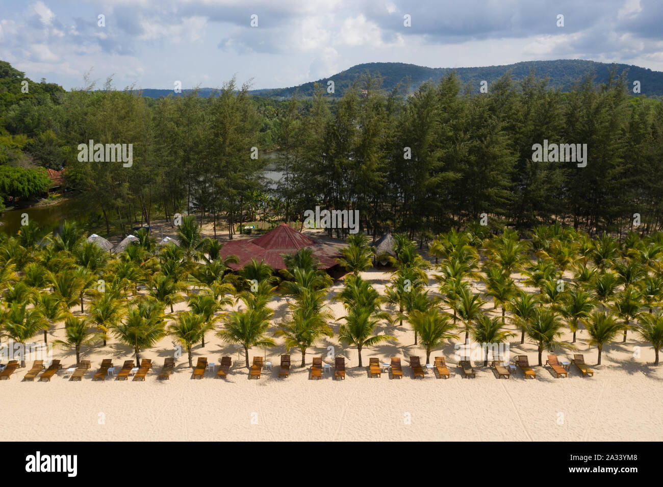 Beautiful palm tree rows at resort in Phu Quoc island Stock Photo - Alamy