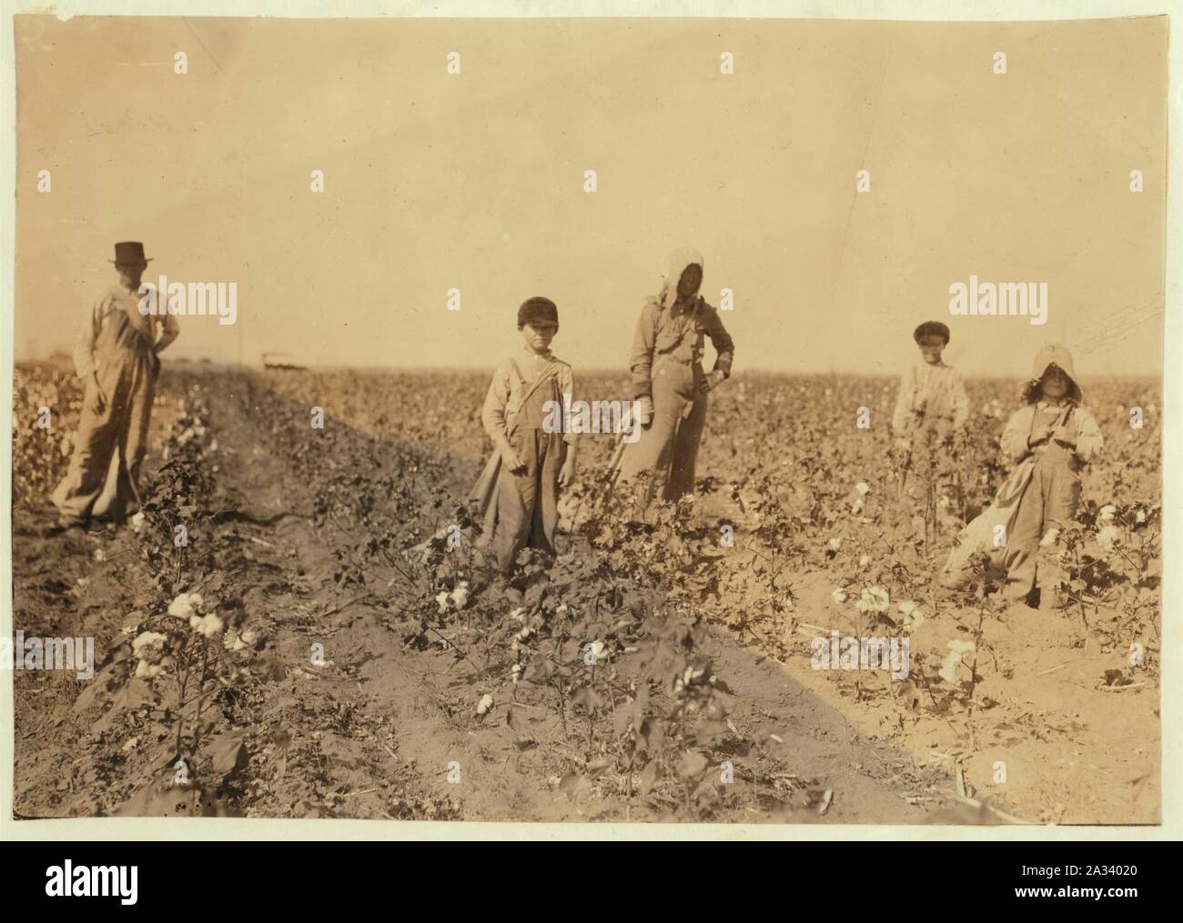 Mrs j j payne hi-res stock photography and images - Alamy