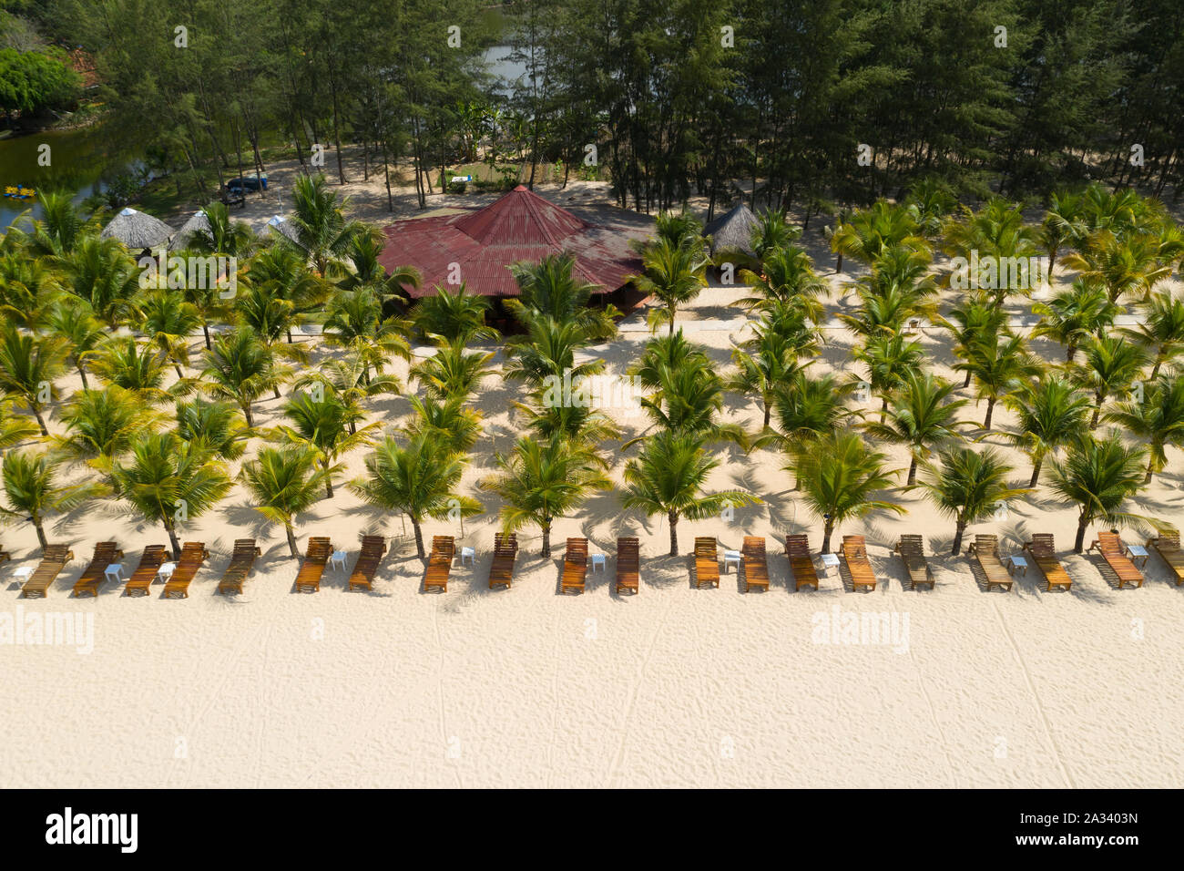 Beautiful aerial view of palm tree rows at relaxing resort Stock Photo ...