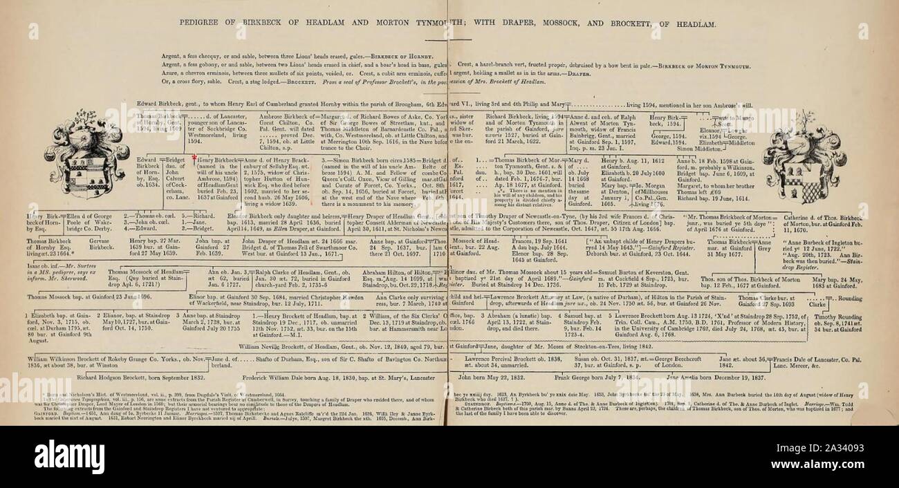 Family Tree Birkbeck Stock Photo - Alamy