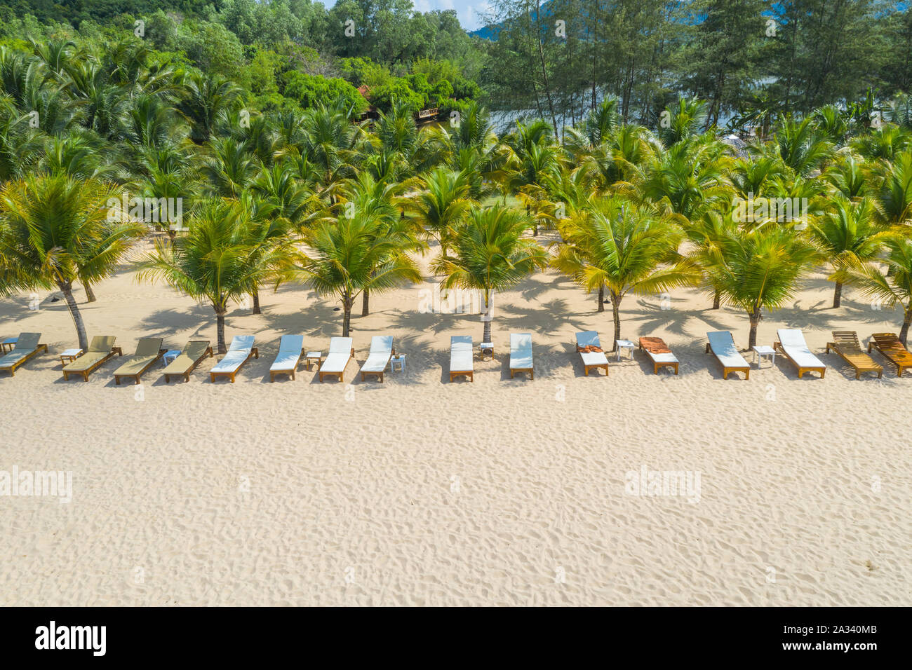 Palm tree rows hi-res stock photography and images - Alamy