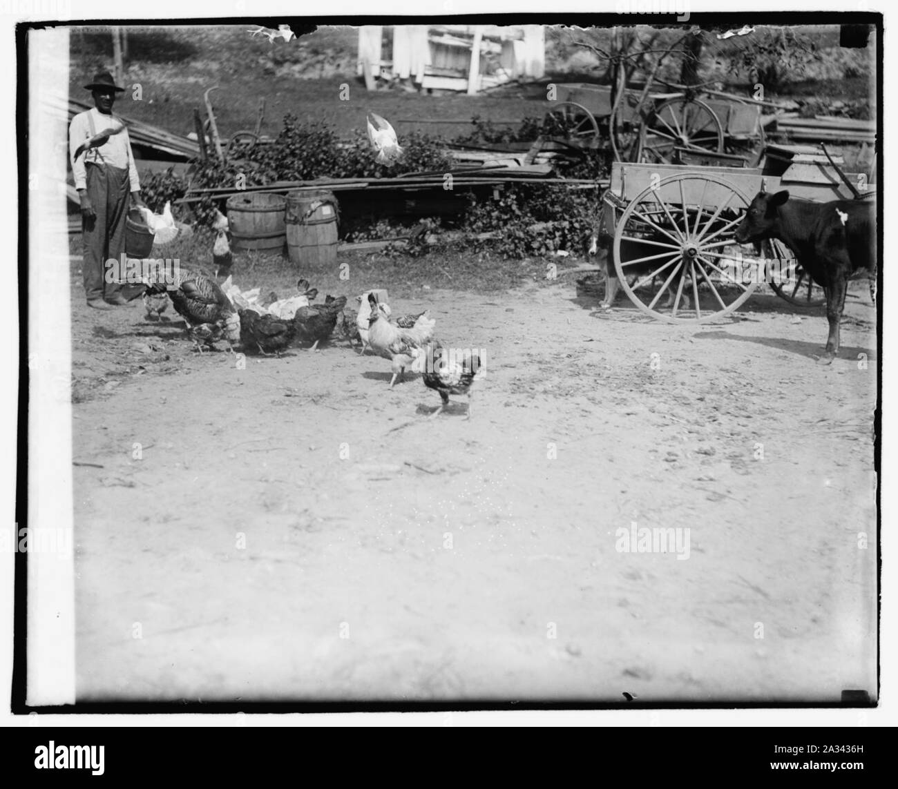 Classic farm farm classical Cut Out Stock Images & Pictures - Alamy