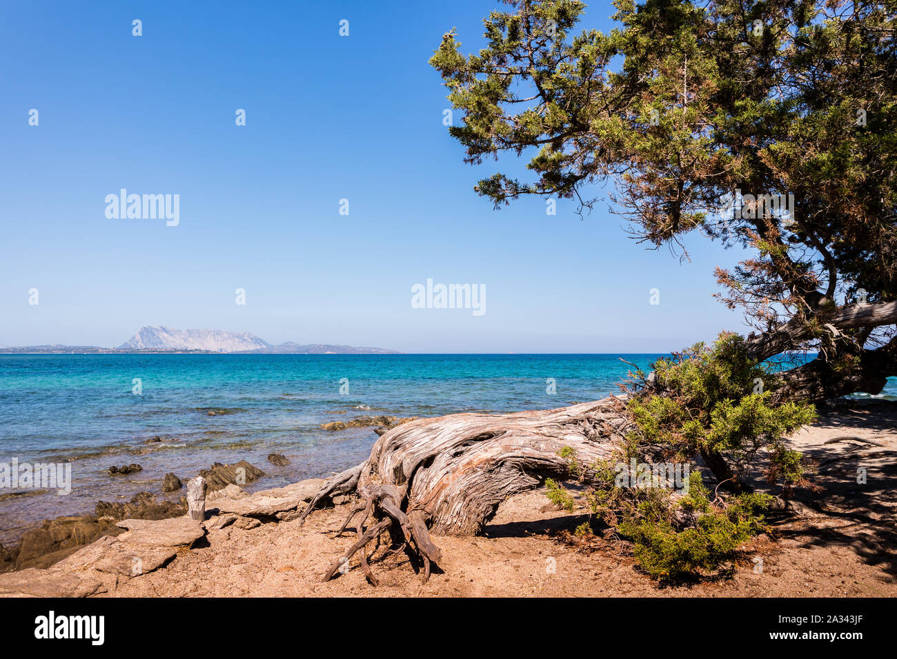 Sardinian mountain hi-res stock photography and images - Alamy
