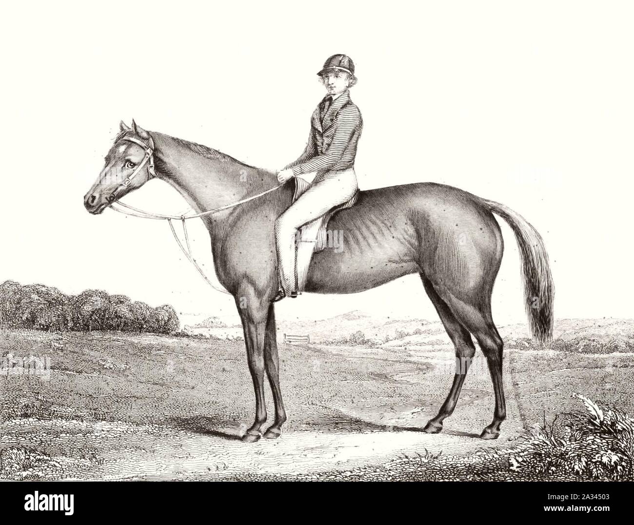 Fashion and Her Jockey Joseph Laird Stock Photo - Alamy
