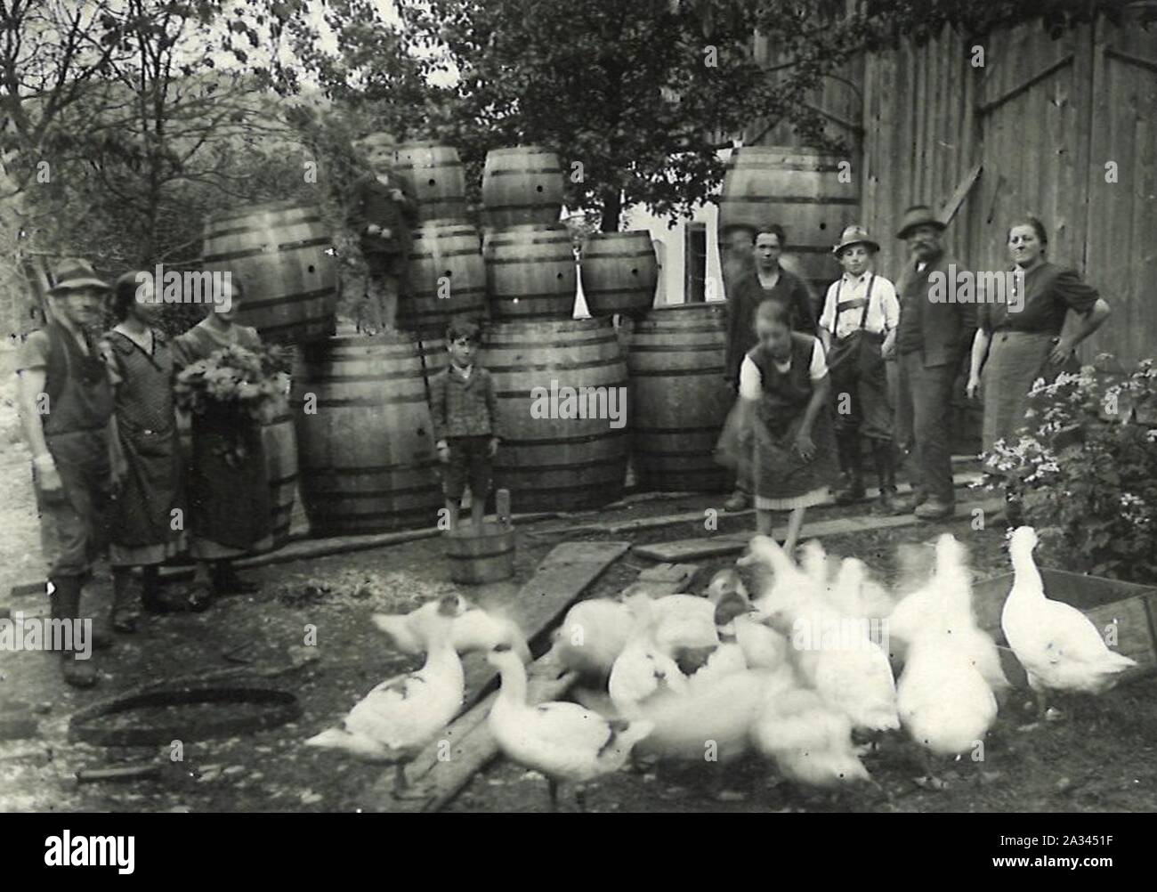 Fass bauen beim Schuederbauern 1935 Stock Photo - Alamy