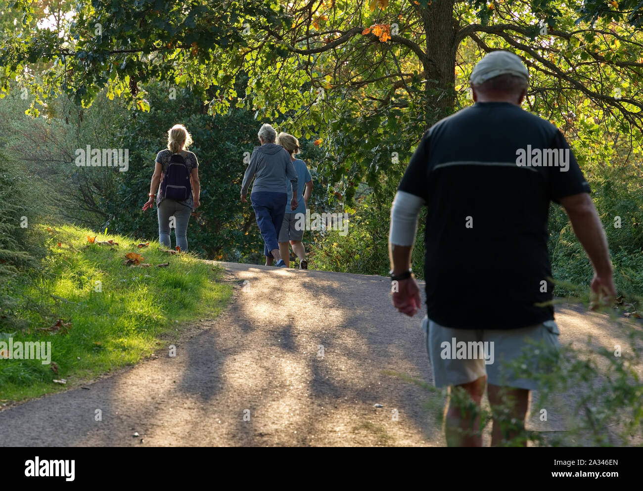 Seniors walking on a park trail during the early days of a New England ...