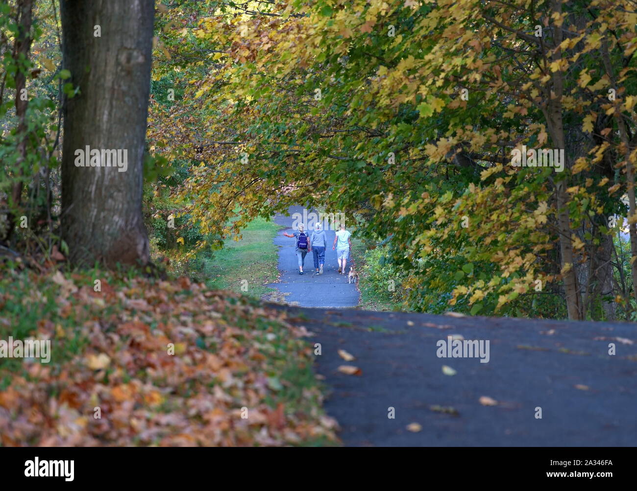 Seniors walking on a park trail during the early days of a New England ...