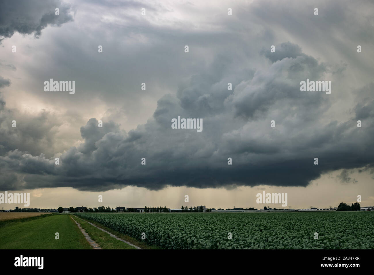 Rotterdam storm hi-res stock photography and images - Alamy
