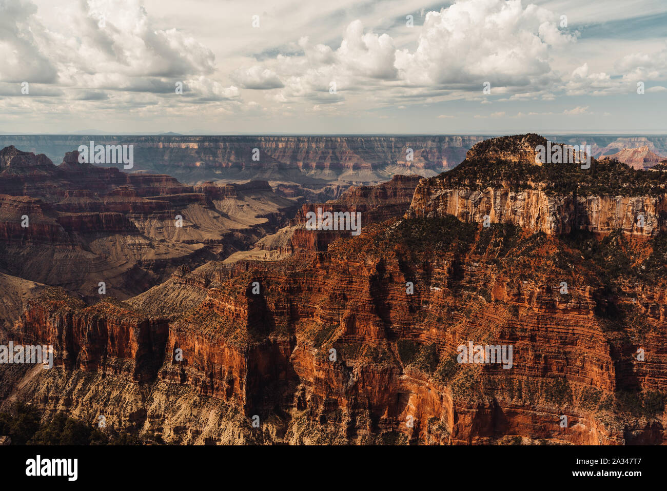View of the North Rim Grand Canyon, Arizona Stock Photo - Alamy