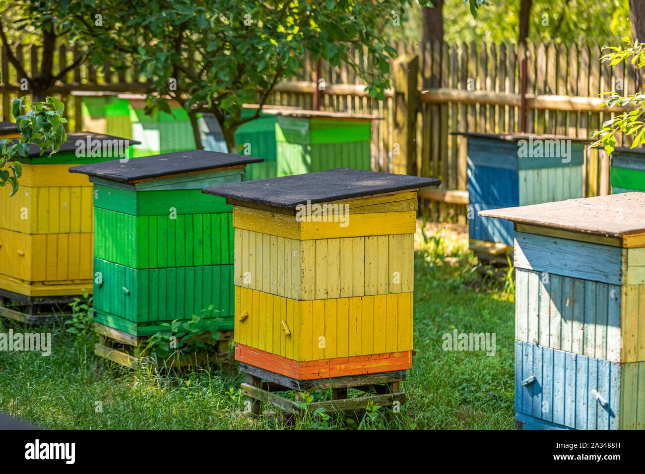 Wild beehive poland hi-res stock photography and images - Alamy