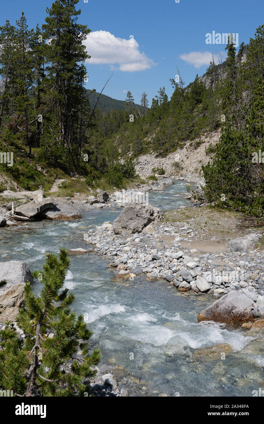 Wild ice cold mountain brook floating between forest, stones and hills ...