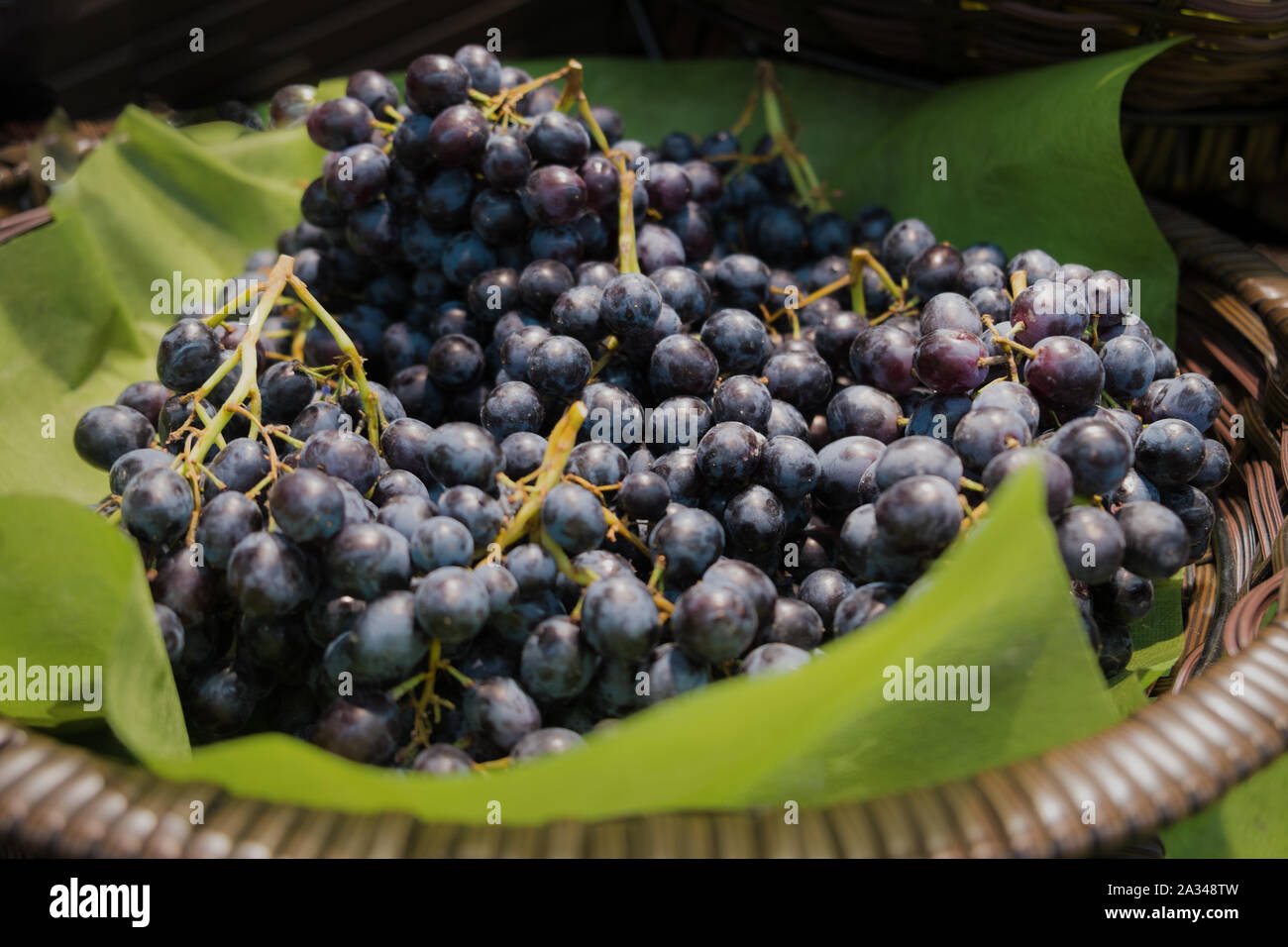 Seedless grapes hi-res stock photography and images - Alamy Seedless grapes hi-res stock photography and images - Alamy