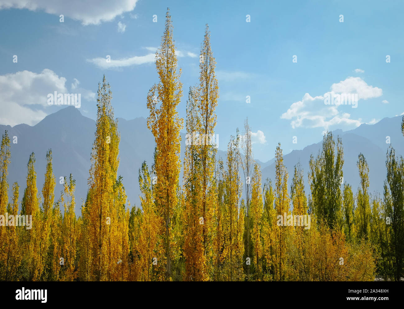 Clean green pakistan hi-res stock photography and images - Alamy