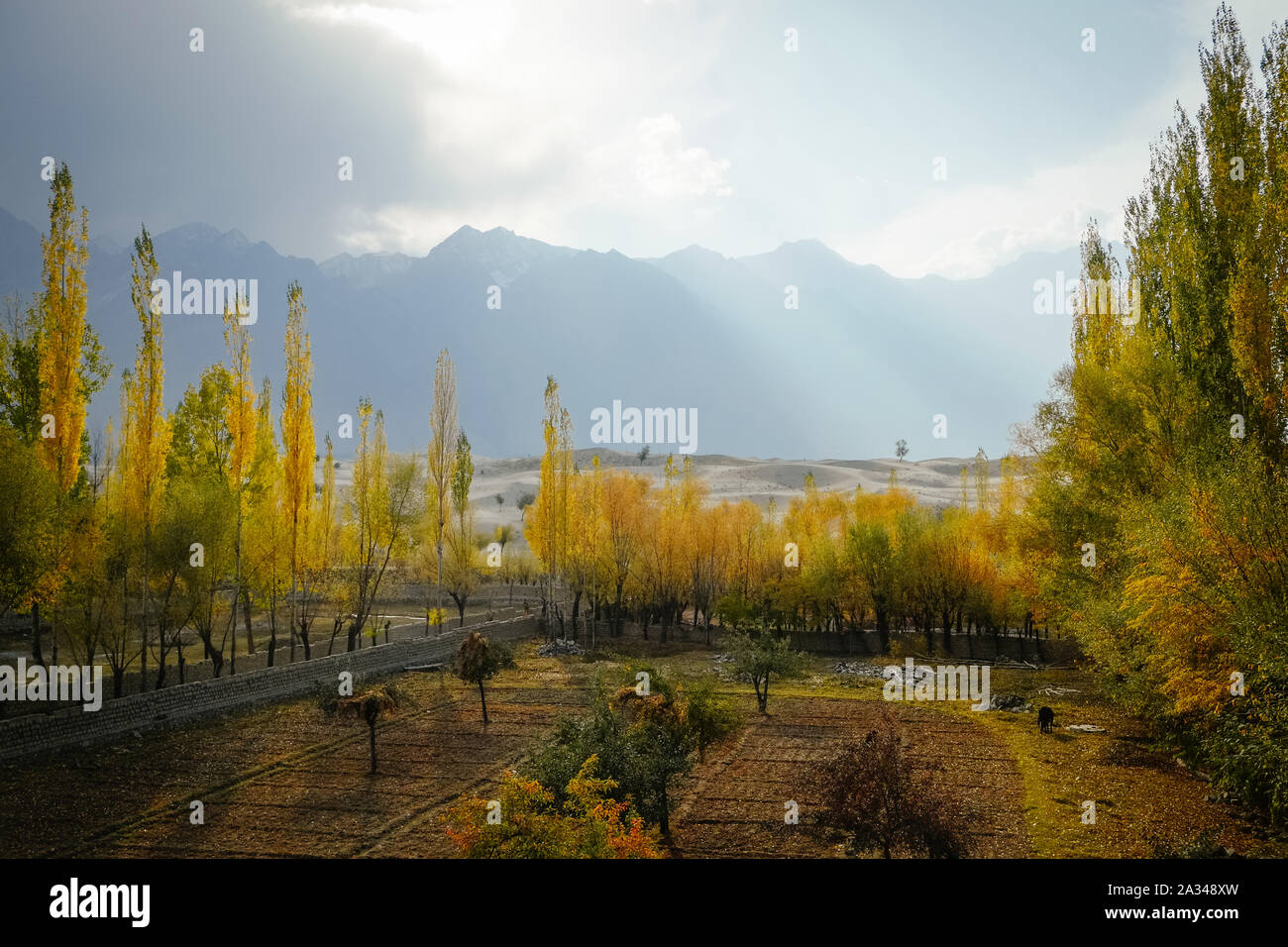 Cold desert pakistan hi-res stock photography and images - Alamy