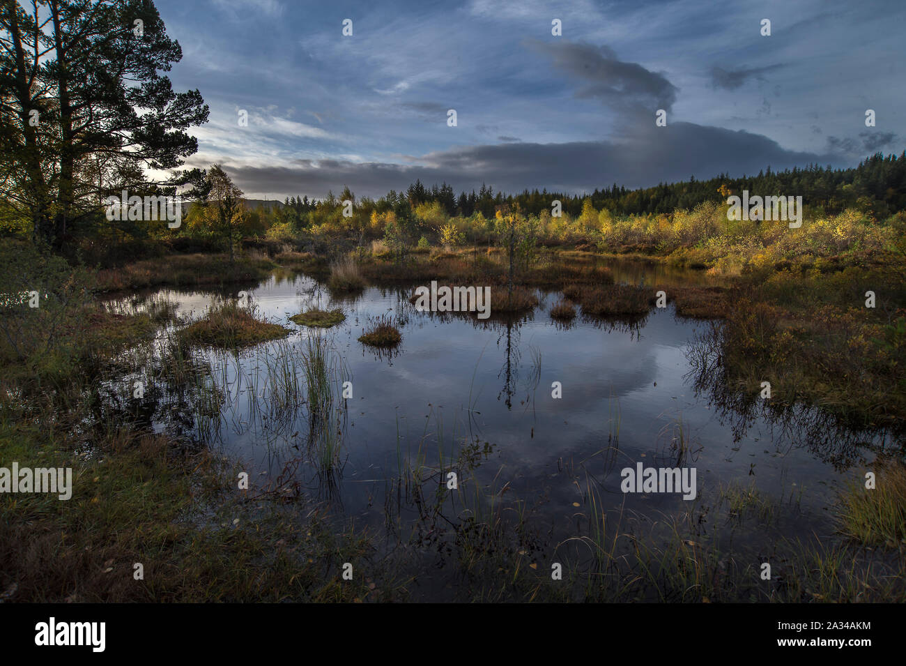 Autumnal colours, Loch Carrie, Glen Cannich, Cannich, Highlands ...