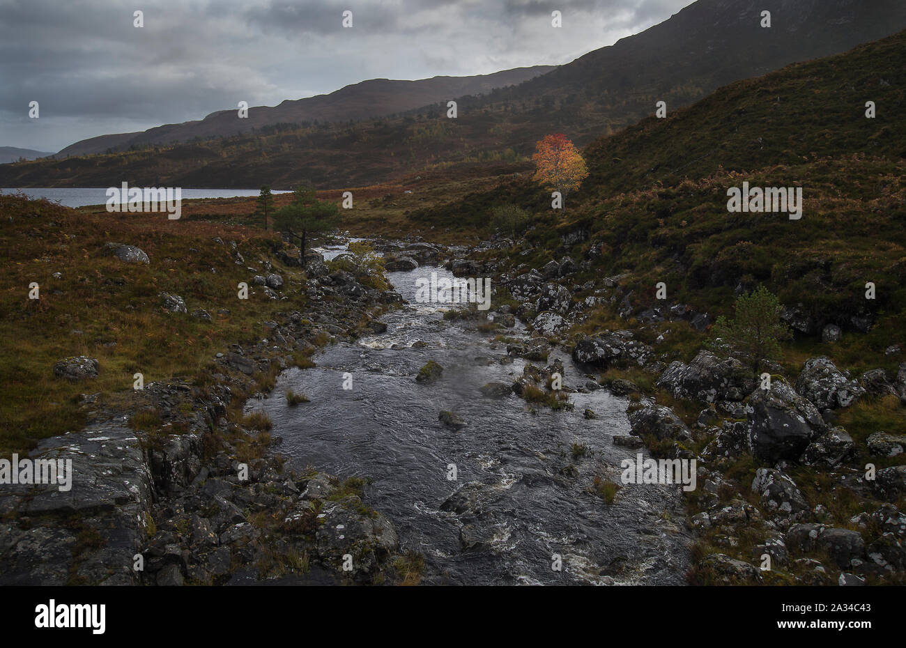 River affric cannich hi-res stock photography and images - Alamy