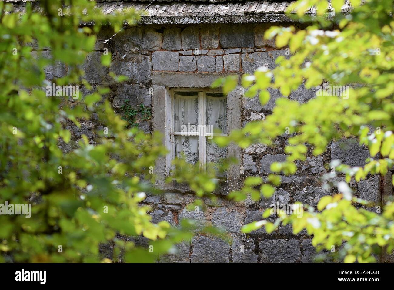 Old house hidden in the forest/ Old window whit white window curtains ...