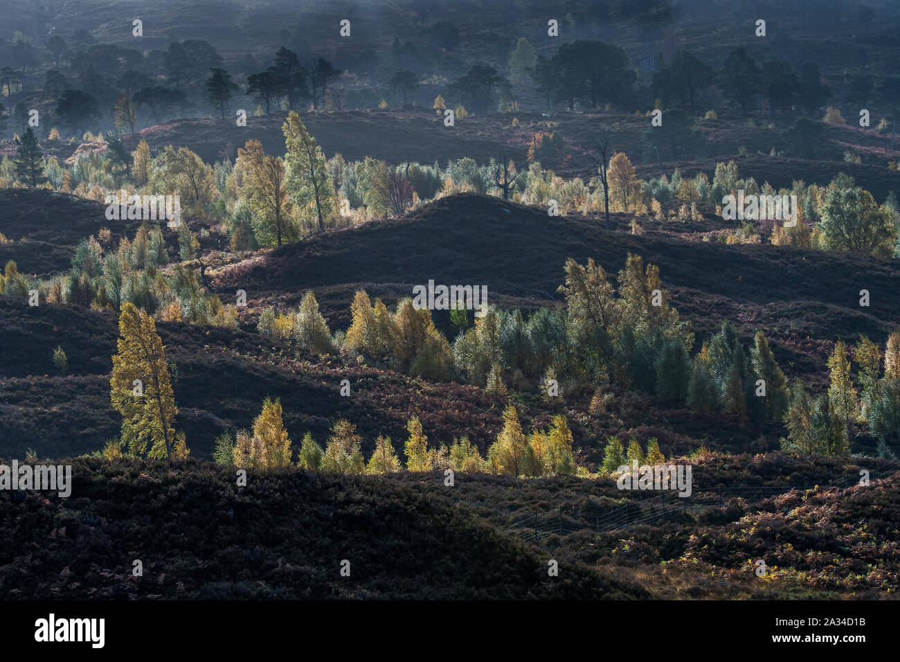 Glen Affric, Cannich, Highlands Scotland Stock Photo - Alamy