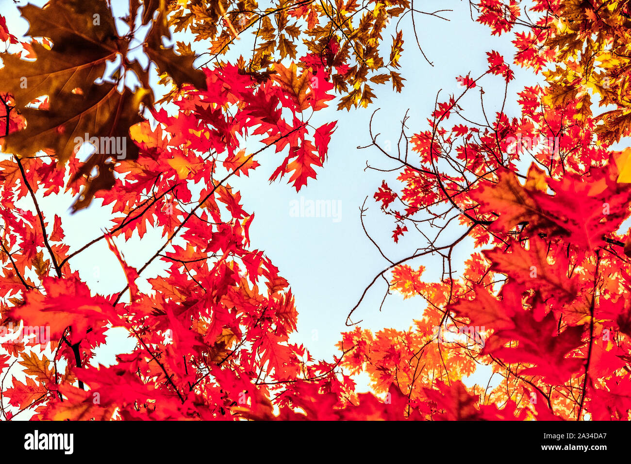 Seasonal travel, retro backdrop and rural environment concept ...