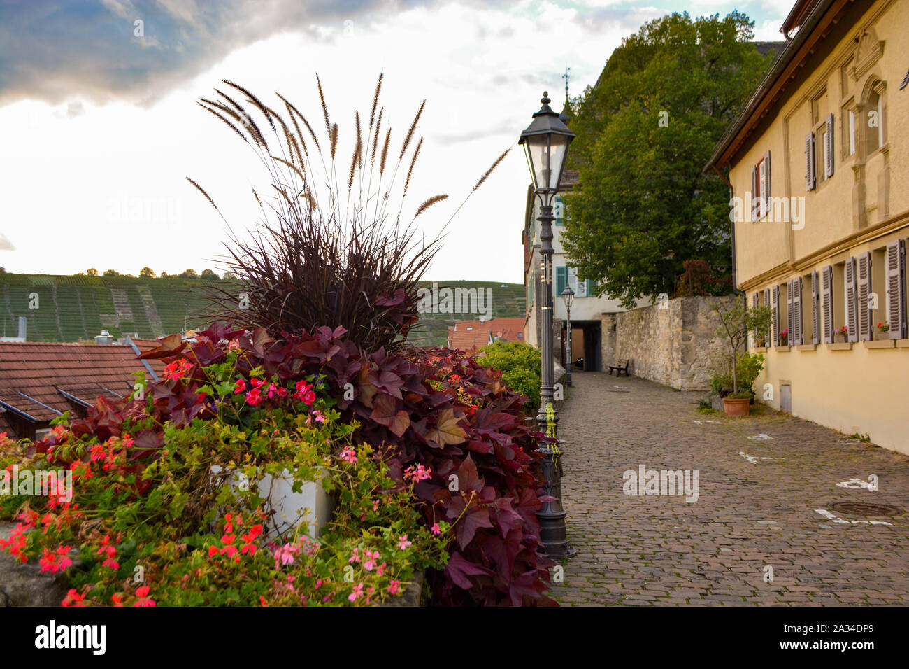 Besigheim old city hi-res stock photography and images - Alamy
