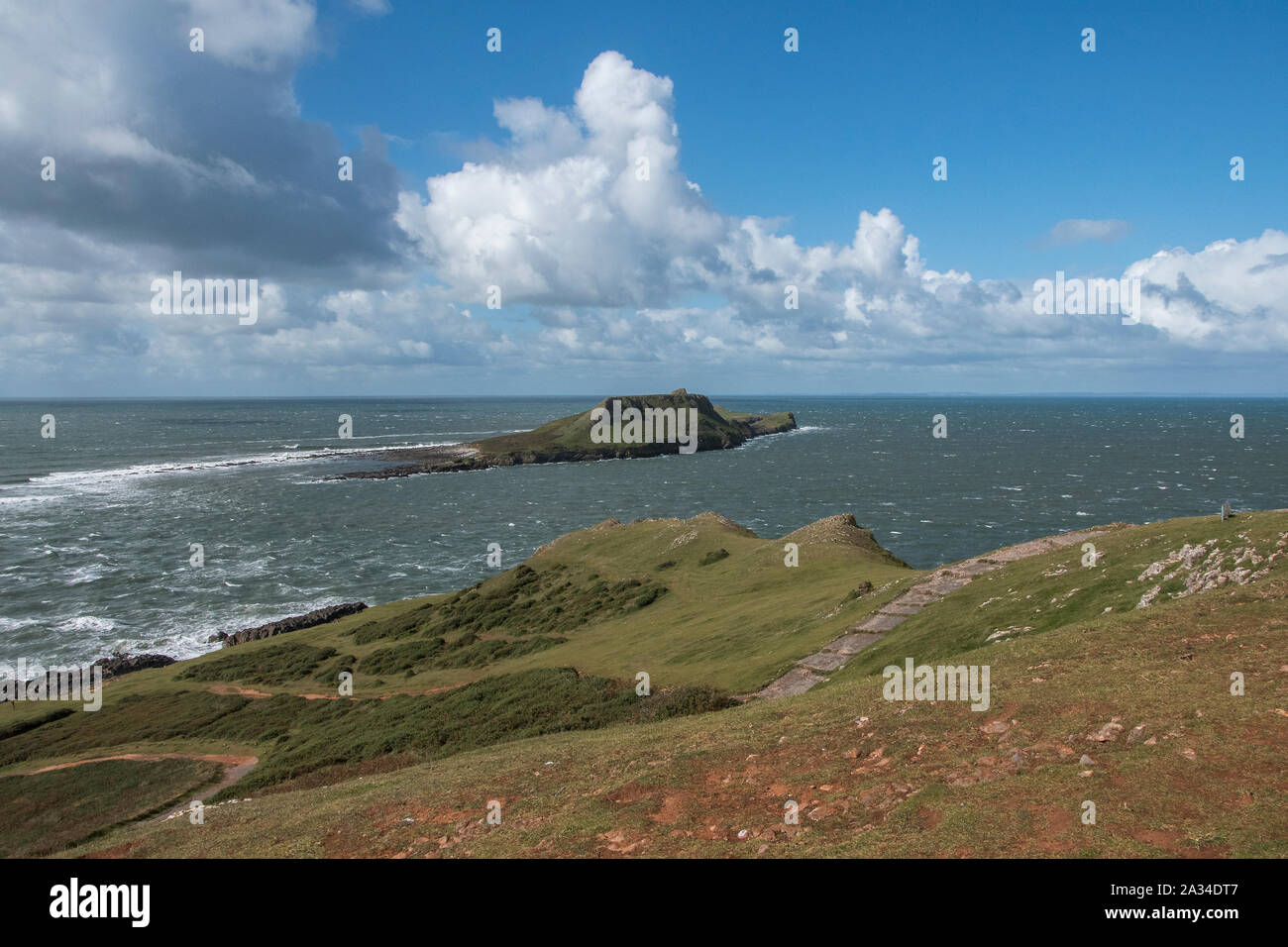 Worms head wales wildlife hi-res stock photography and images - Alamy