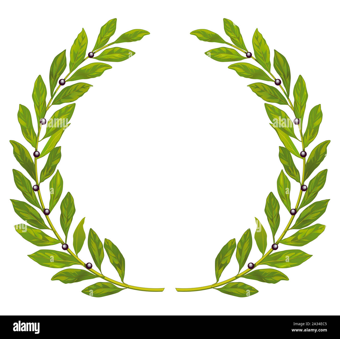Green laurel wreath on white background, illustration Stock Photo - Alamy