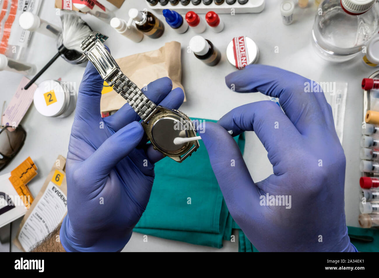 Police scientist working in Criminalistic Lab, victim clock analysis ...