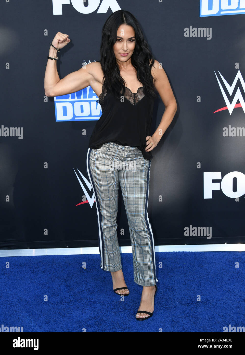 Wwe Brie Bella Feet
