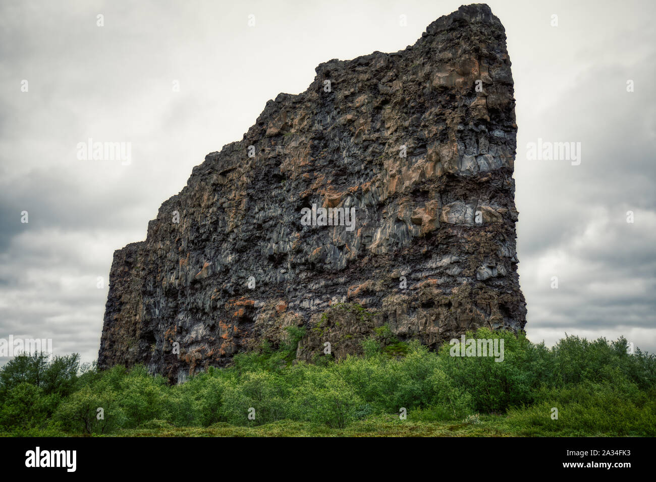 Amazing big rock in asbyrgi canyon on iceland, summer Stock Photo - Alamy