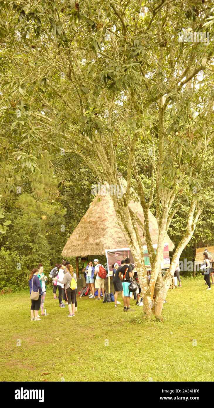 Tourists pictured at Mpanga Forest eco-tourism side in Mpigi, Uganda ...