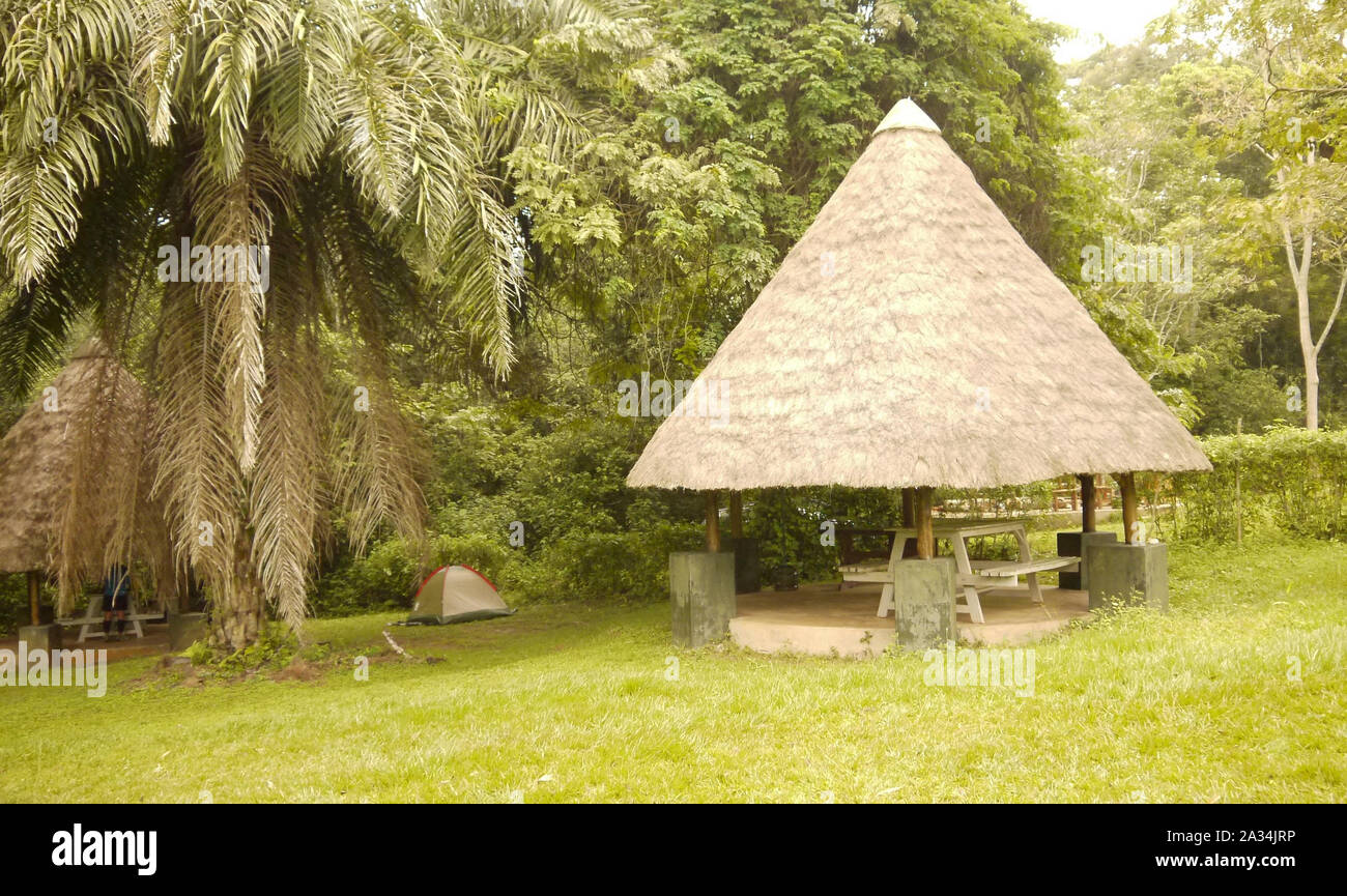 Mpanga Forest camp site is nature tourism area in Mpigi, Uganda Stock ...