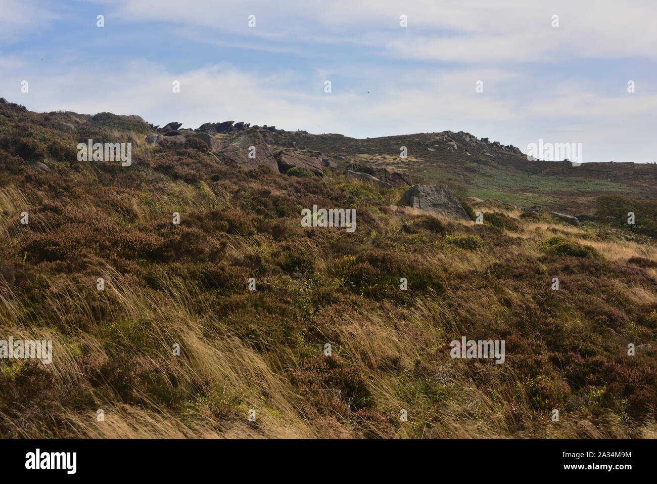 Bearstone hi-res stock photography and images - Alamy